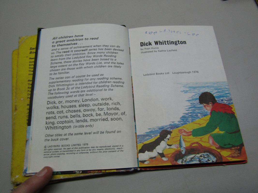 IMG 3231 — Postimages