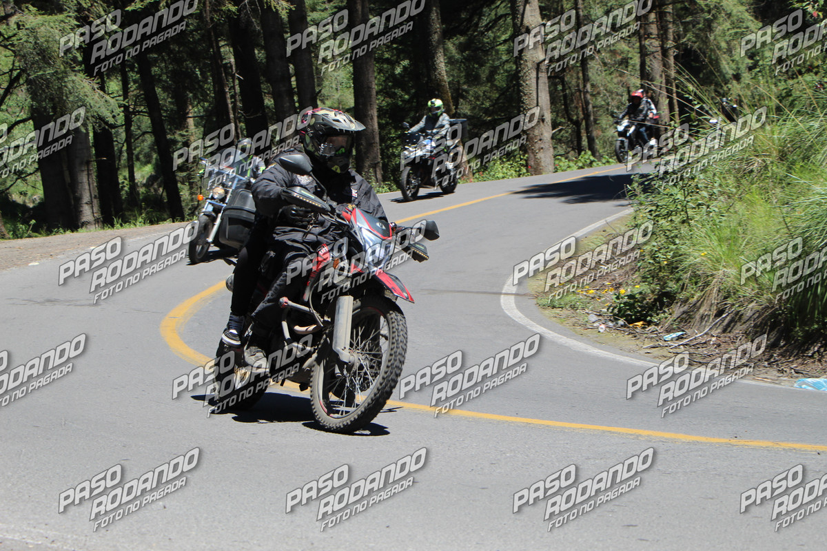 IMG 5956 wm 17770468 3 watermarked — Postimages