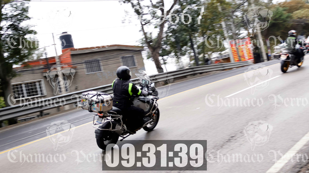 MUESTRA MG 9667 — Postimages