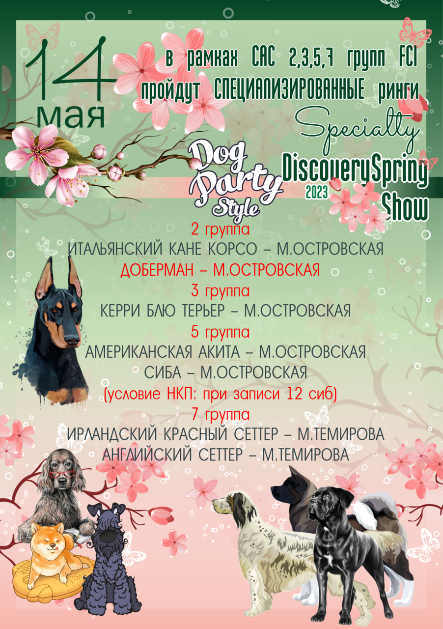 специалки 23 03 — Postimages