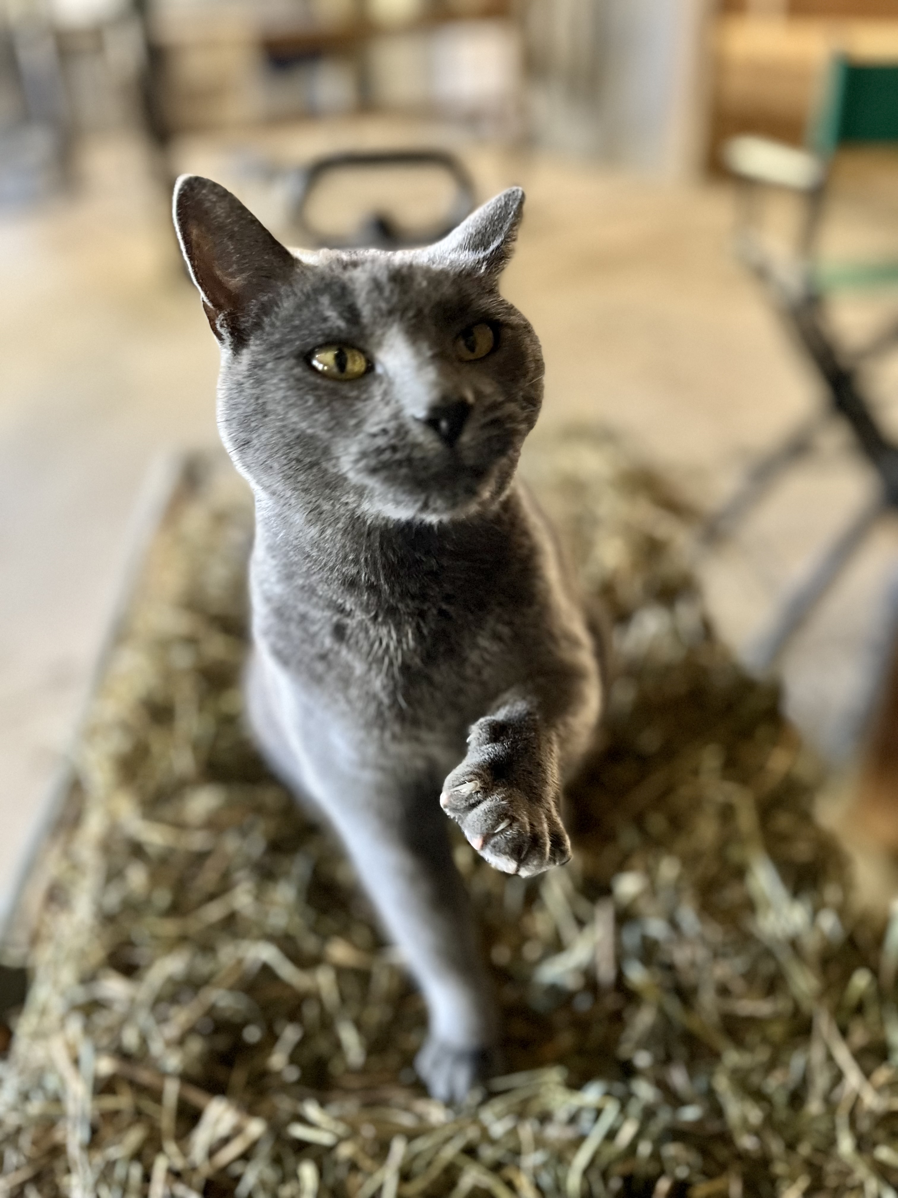 IMG 0795 — Postimages