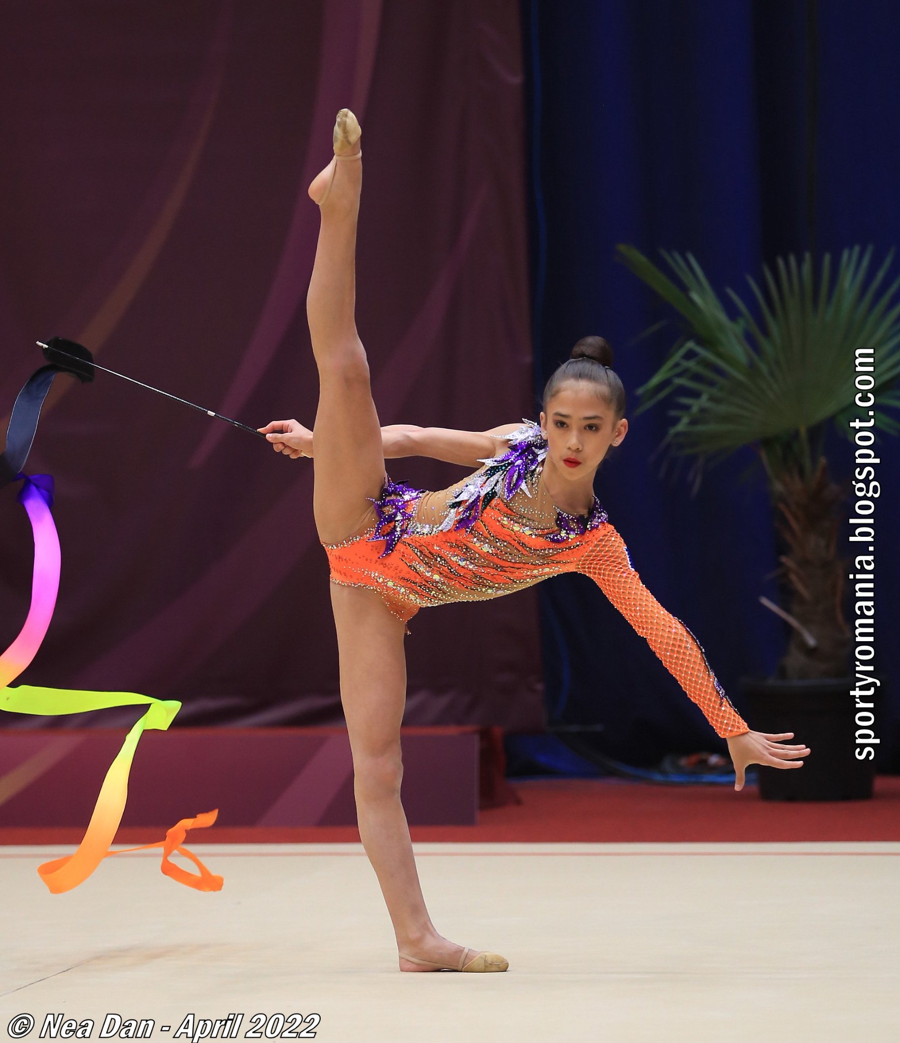 tran2 — Postimages