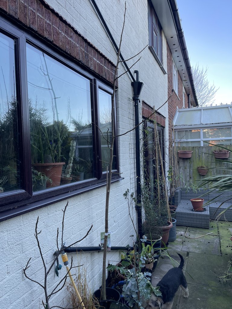 IMG 7207 — Postimages