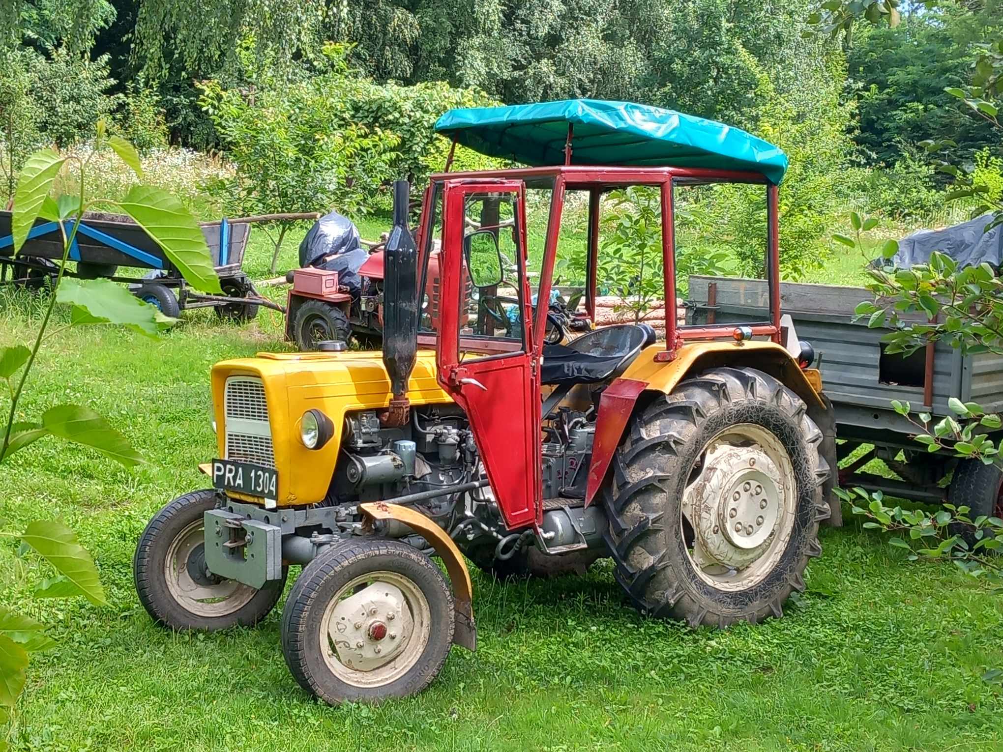 ursus wuja — Postimages