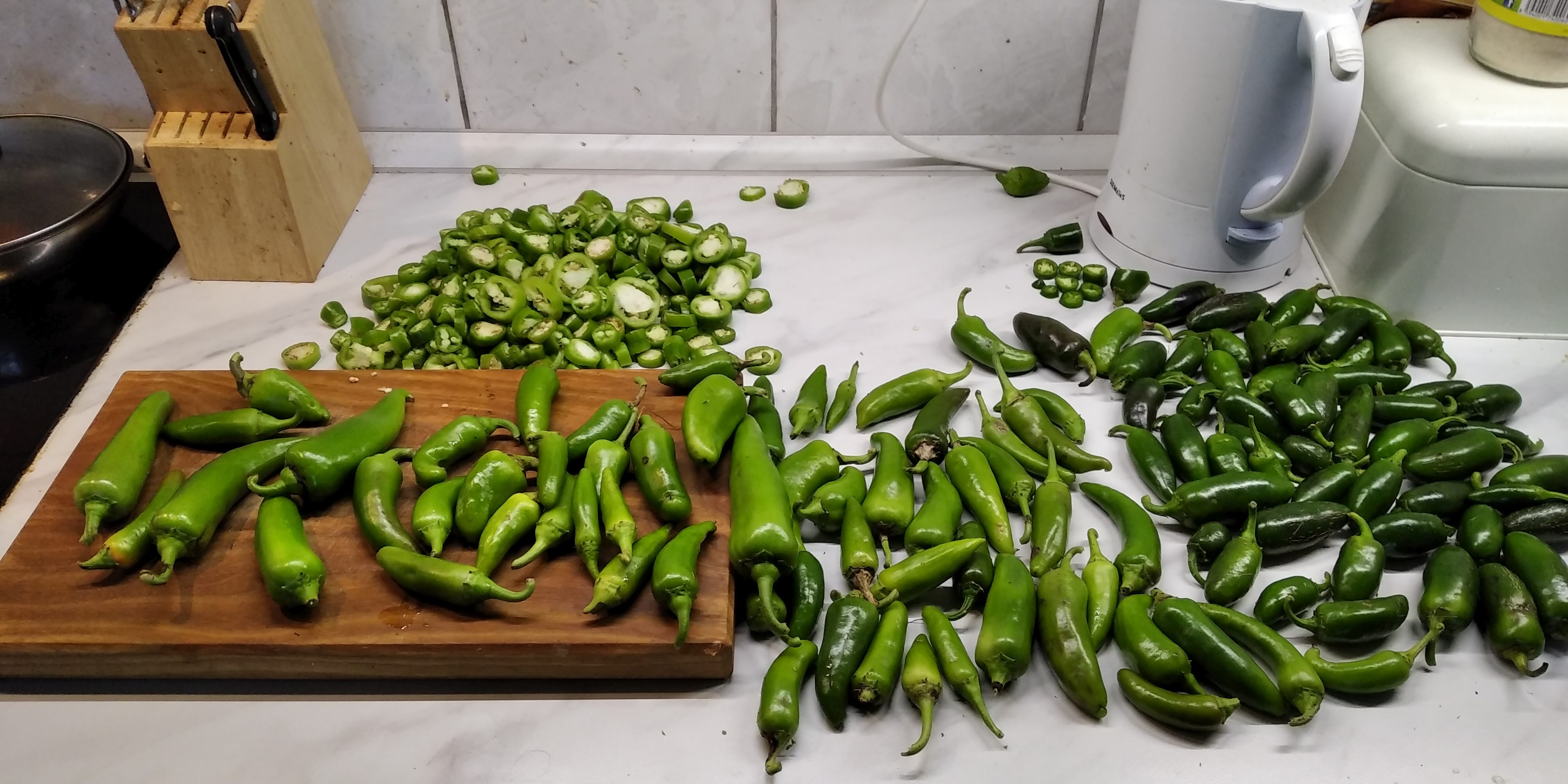 jalap 2022 2 — Postimages