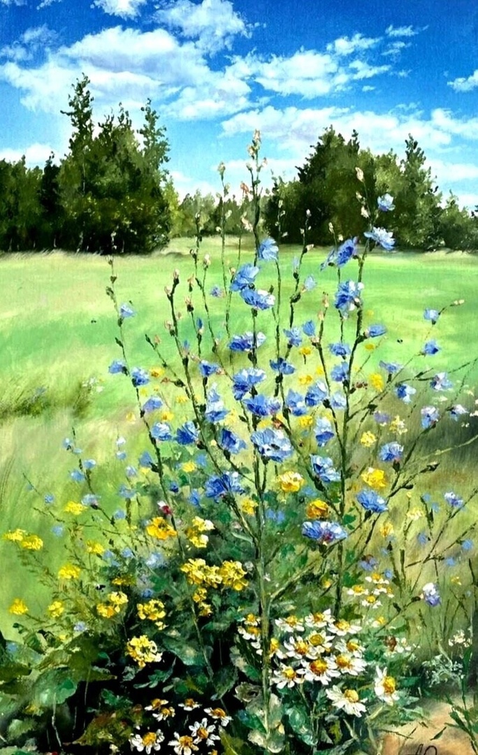 gh GU Za XMp E — Postimages