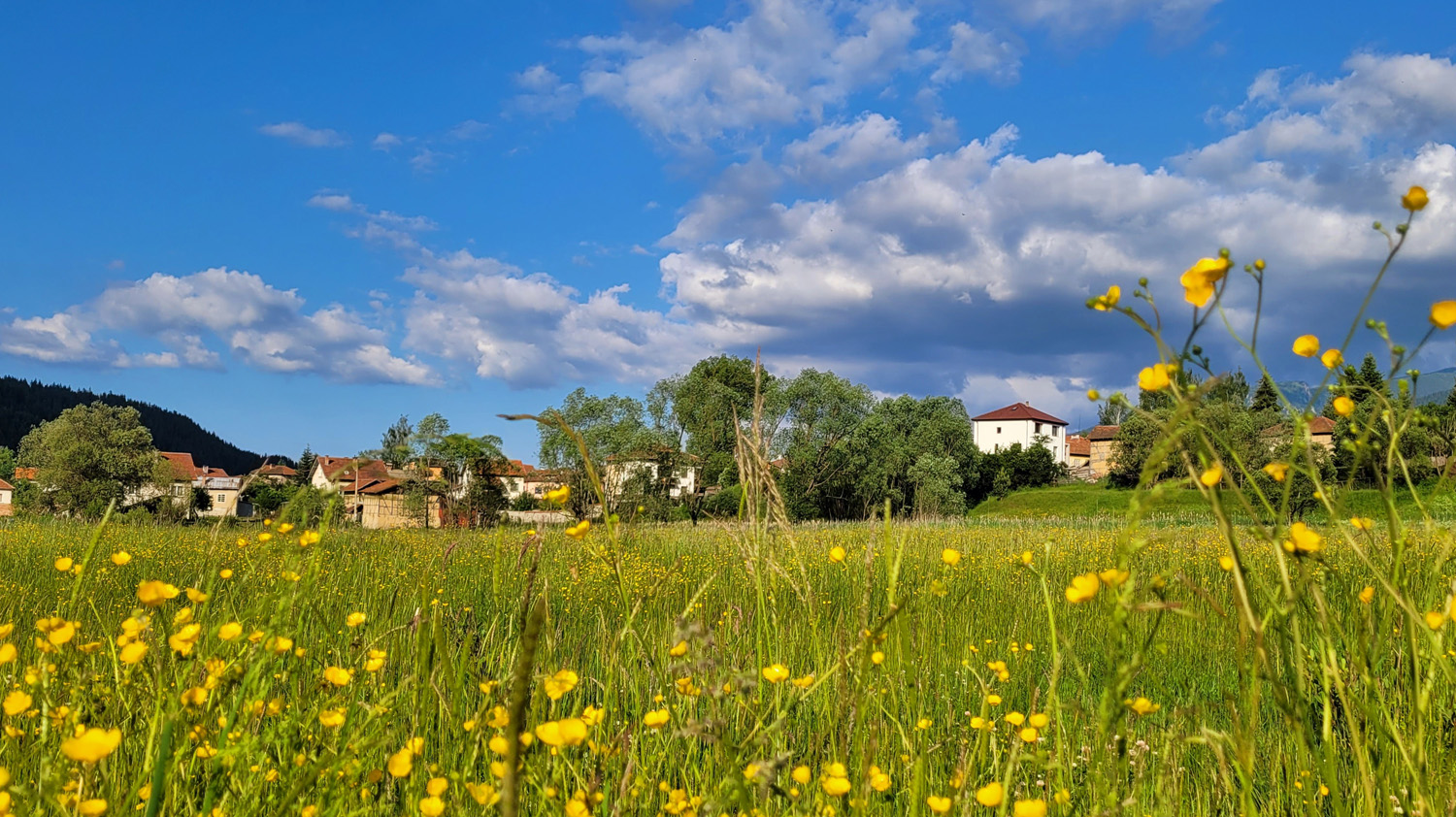 bulg 23 05 — Postimages