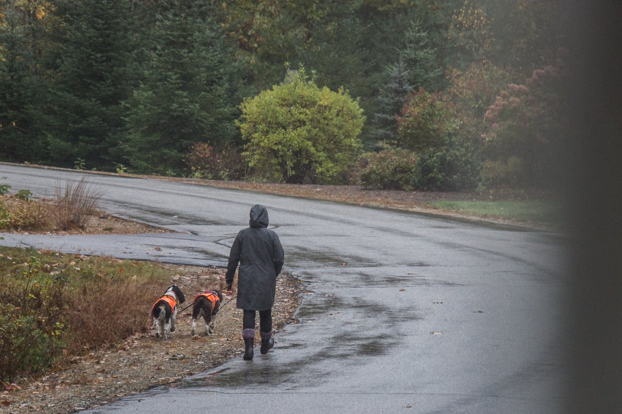 rain 1 — Postimages