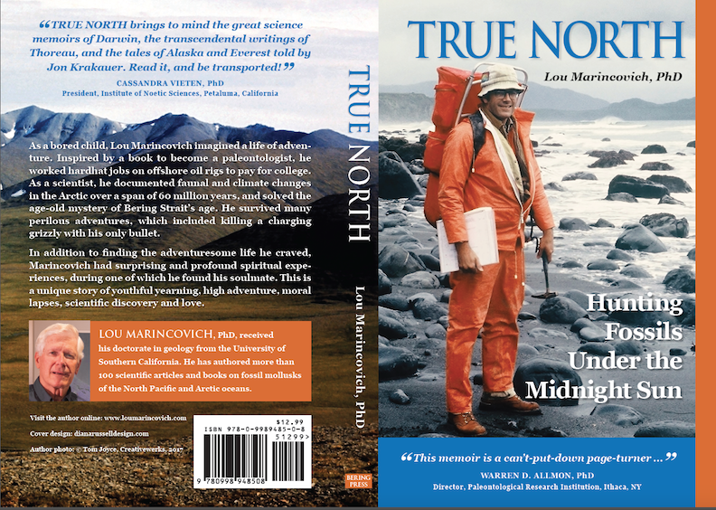 b bggggg - CorvetteForum - Chevrolet Corvette Forum Discussion