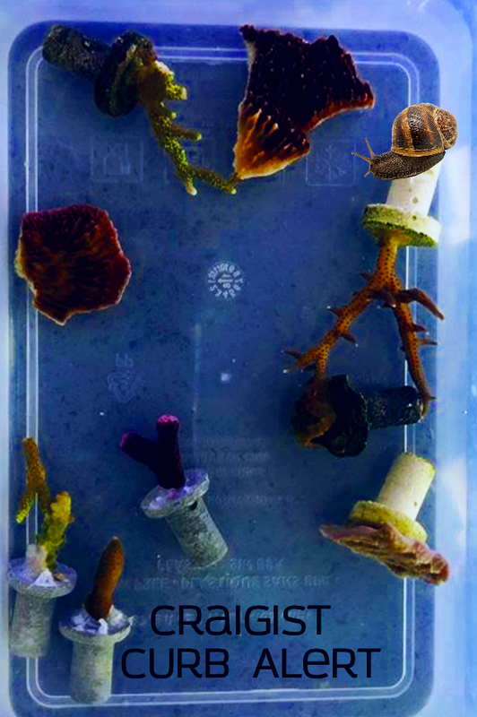 Capture 2020 03 10 06 23 37 — Postimages