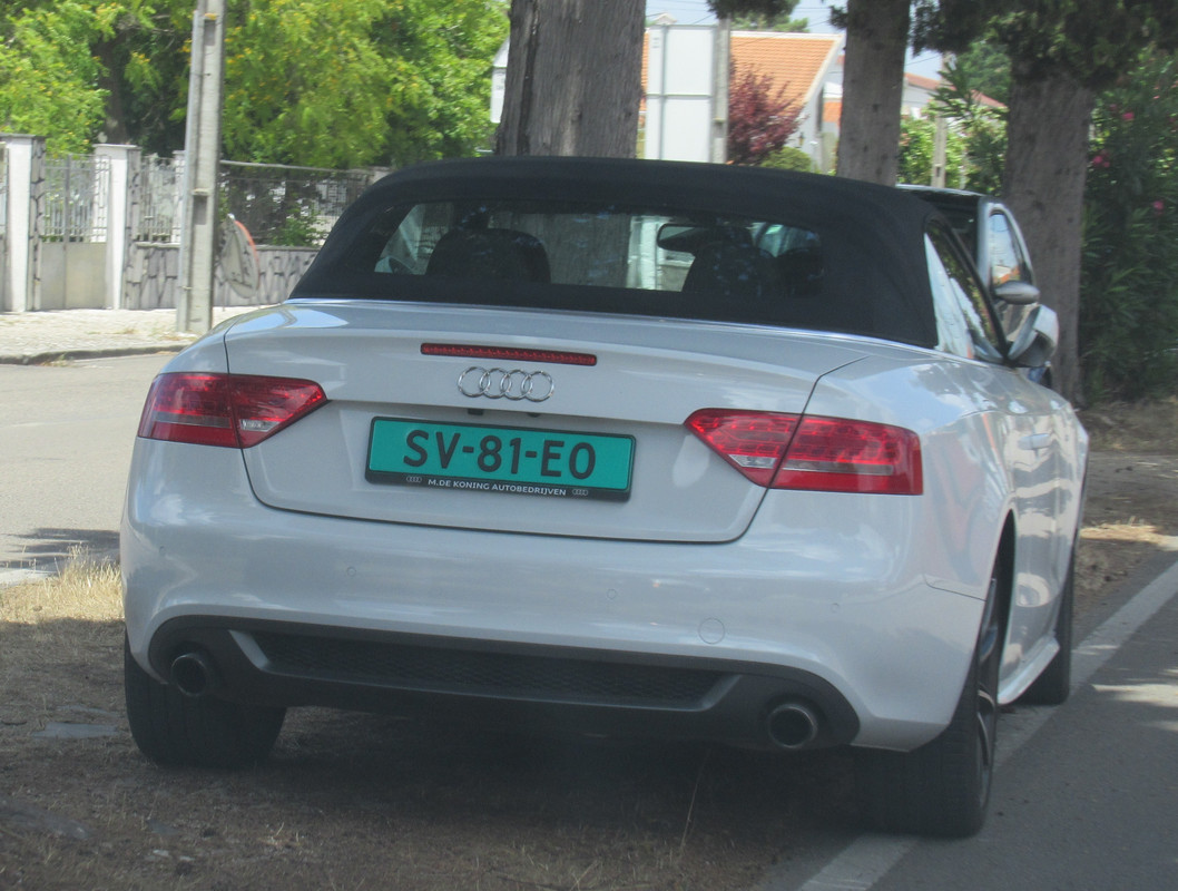 IMG 5934 — Postimages