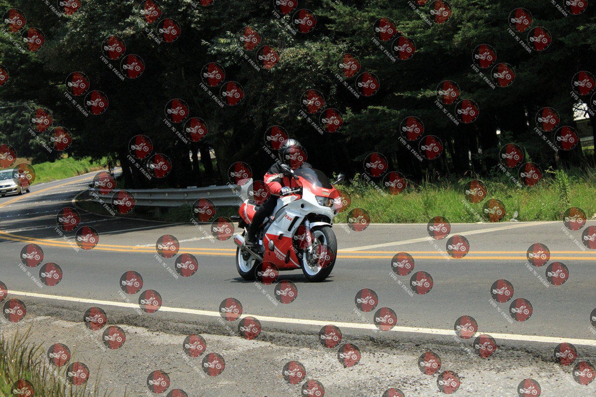 1694992123407 — Postimages