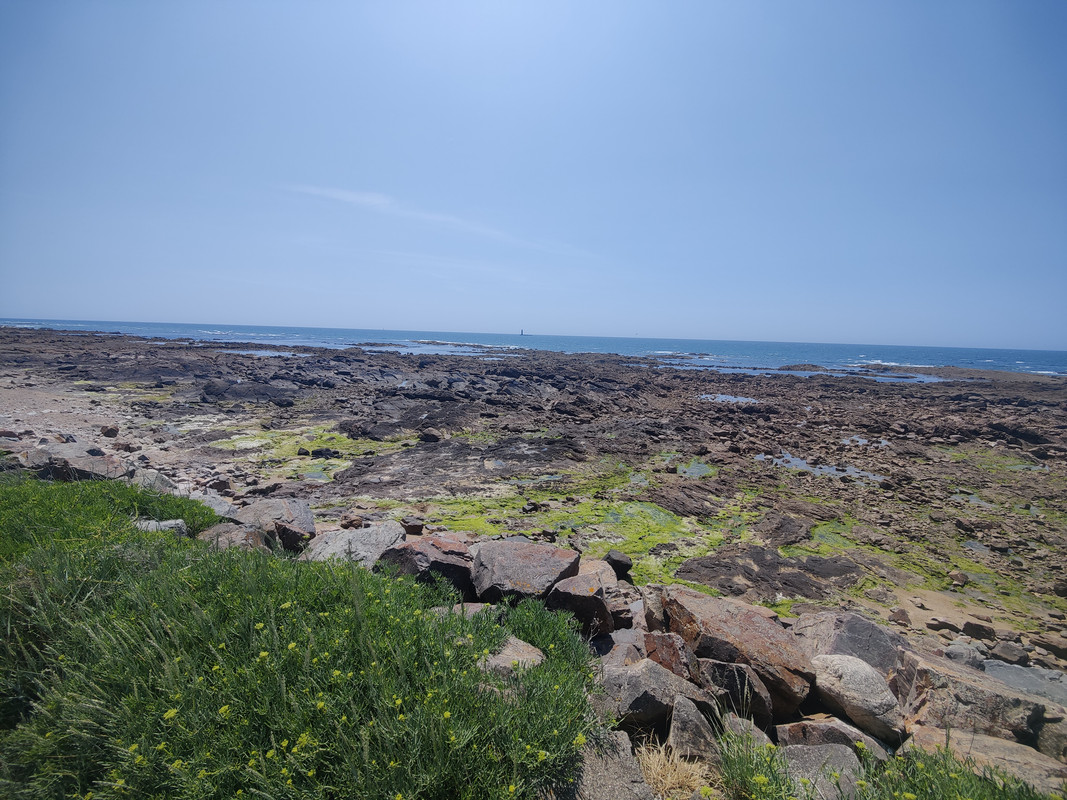 IMG20230622152109 — Postimages