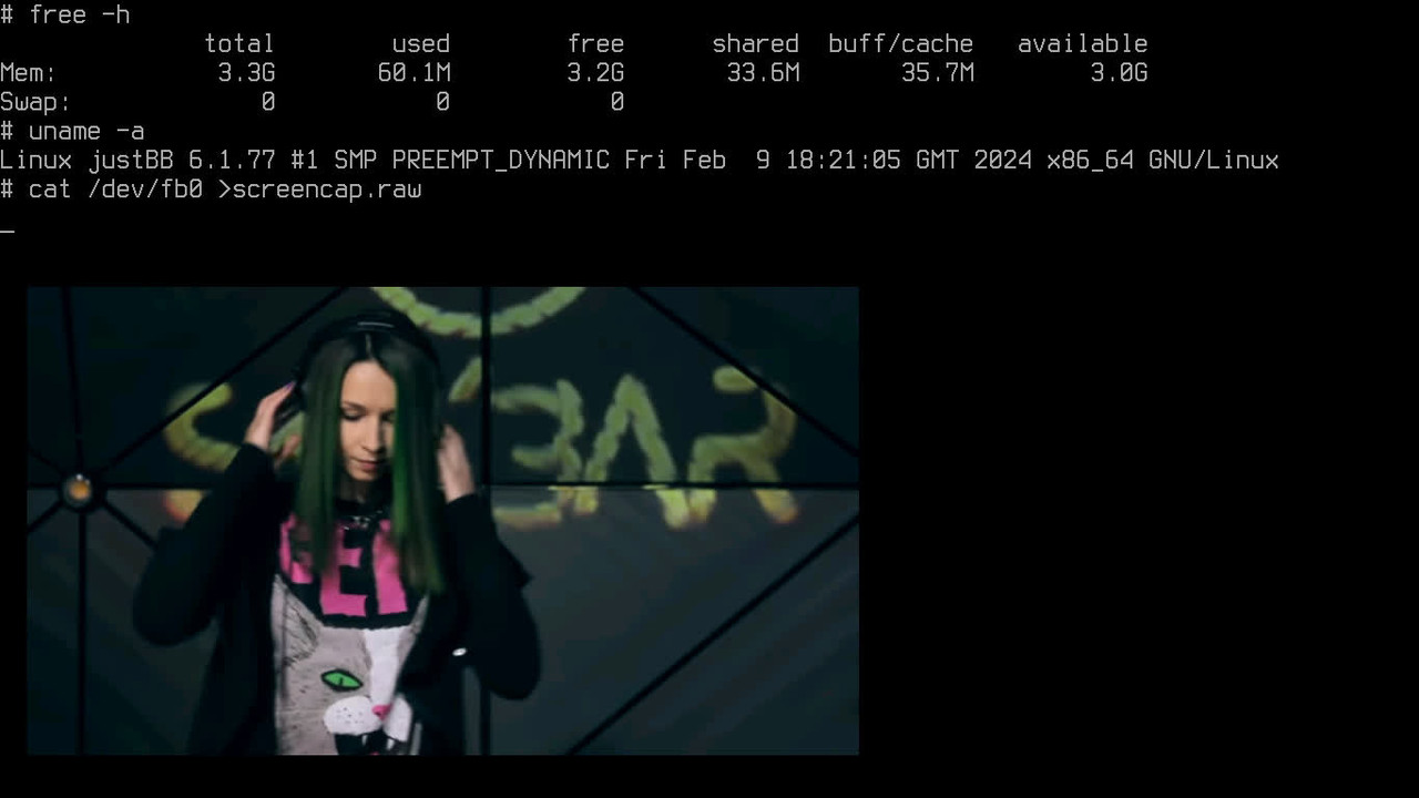 What is the most minimal linux system you have ever made and daily ...