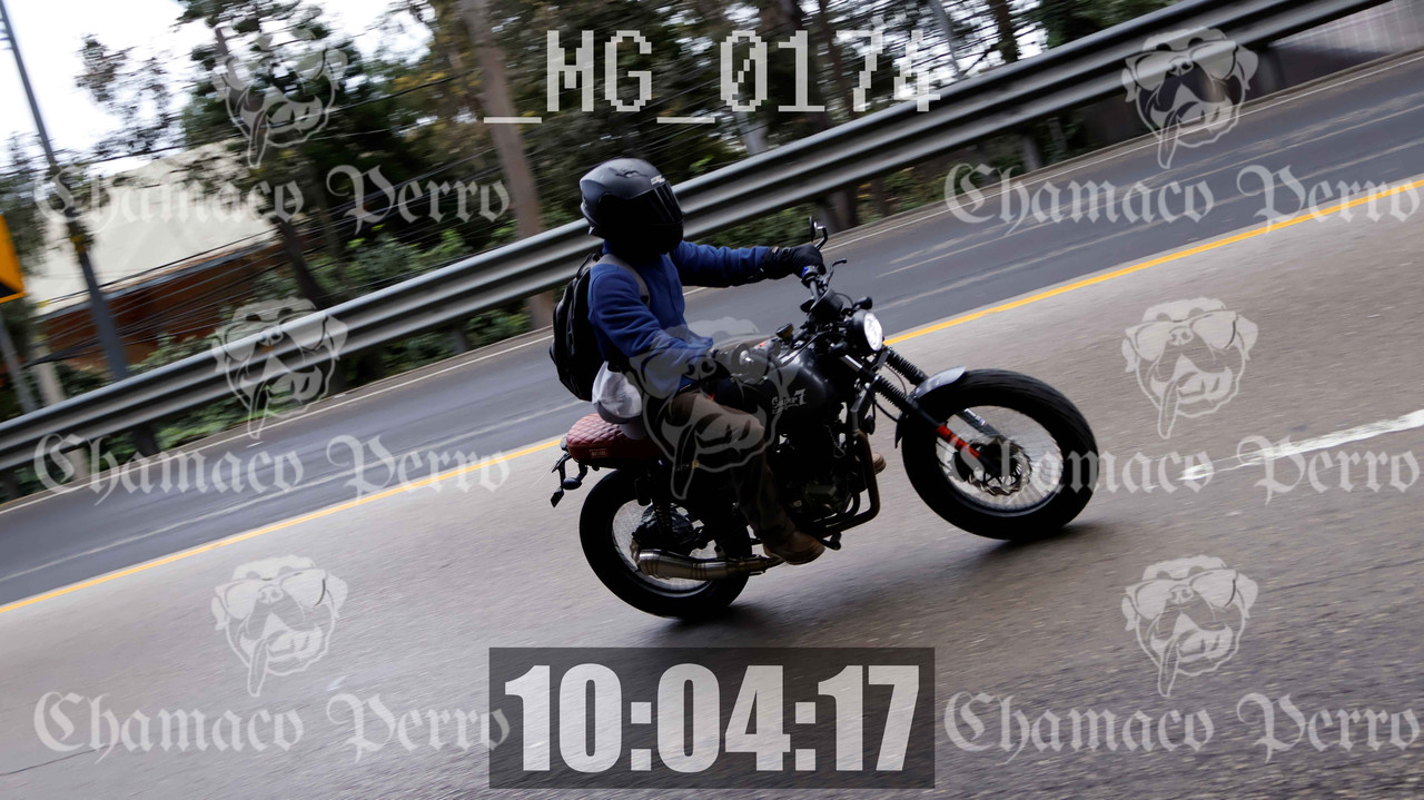 MUESTRA MG 0174 — Postimages