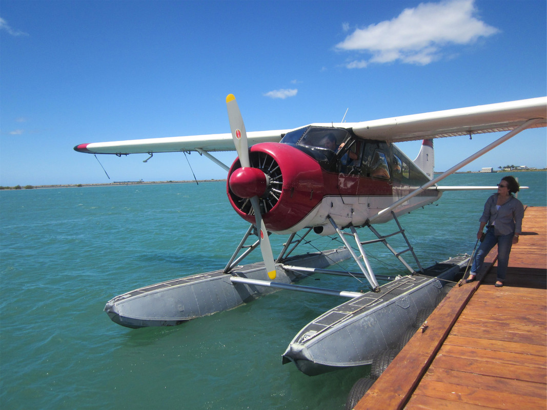 8 Flying Hawaii — Postimages