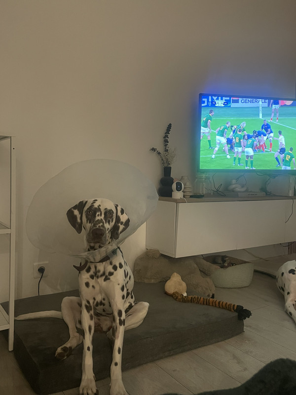 IMG 8446 — Postimages