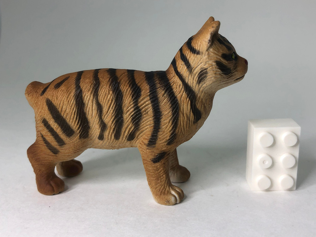 Dynamic poses vs. Static poses