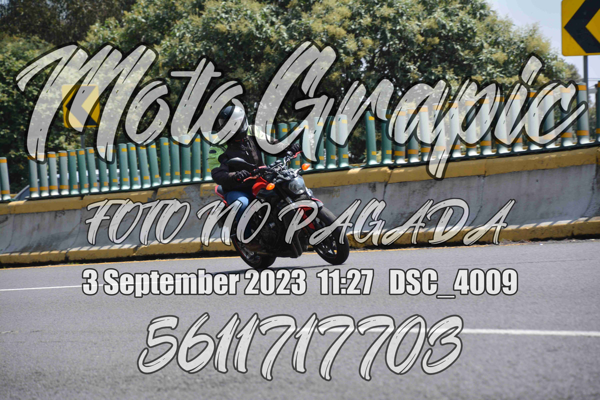 motgr DSC 4009 — Postimages