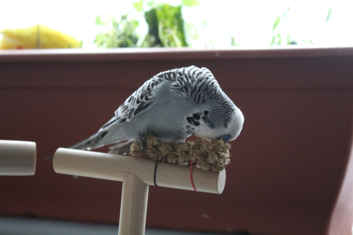 20230818133656 IMG 0827 — Postimages