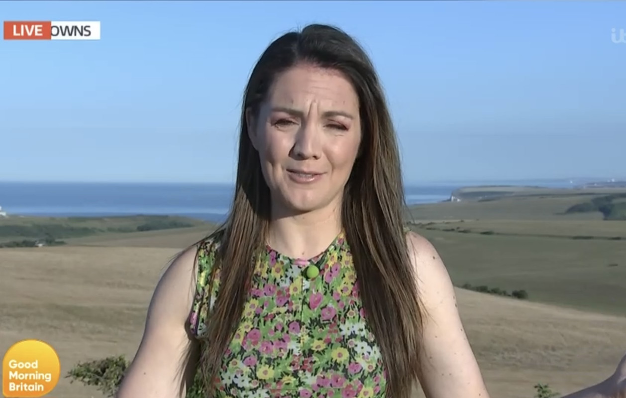 31 FA3462 1 BD1 40 A3 B609 5 DF639 AA1962 — Postimages