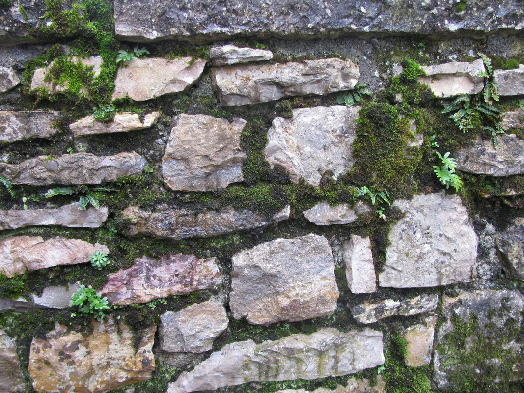 R (1) — Postimages