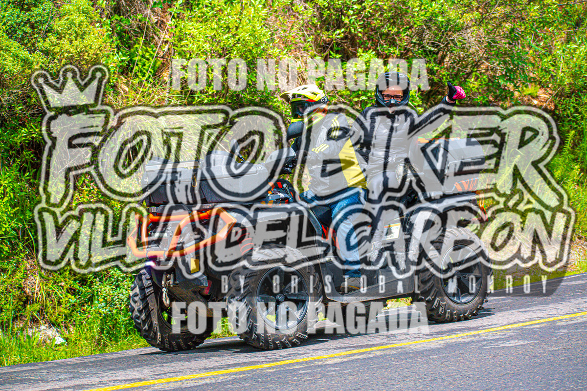 C1P1 116 — Postimages