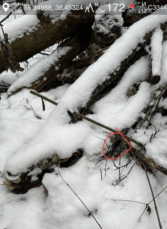 917 D5524 EB60 4068 B524 DFF345 EA4 FAF — Postimages