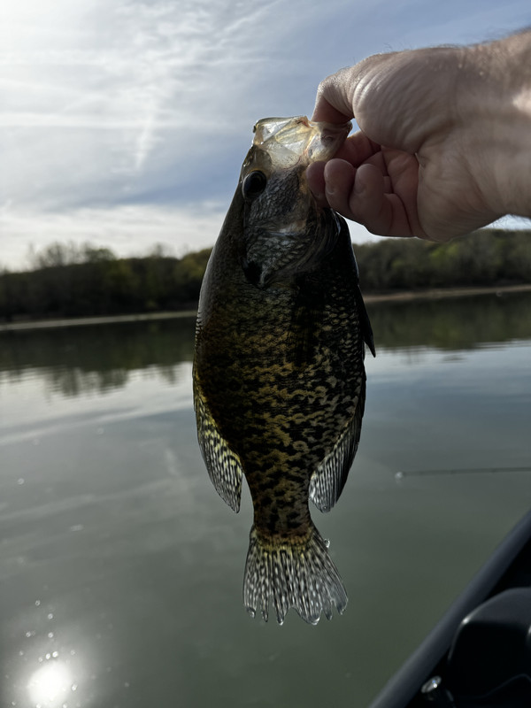 IMG 0629 — Postimages