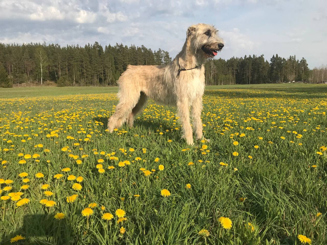 IMG 20230516 134525 545 — Postimages