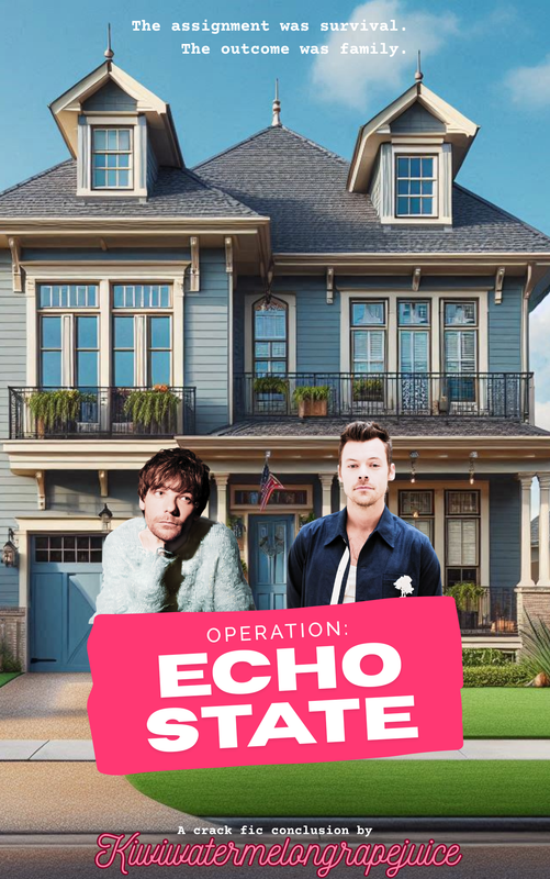 Operation: Echo State - Chapter 1 - Kiwiwatermelongrapejuice - One Direction (Band) [Archive of ...