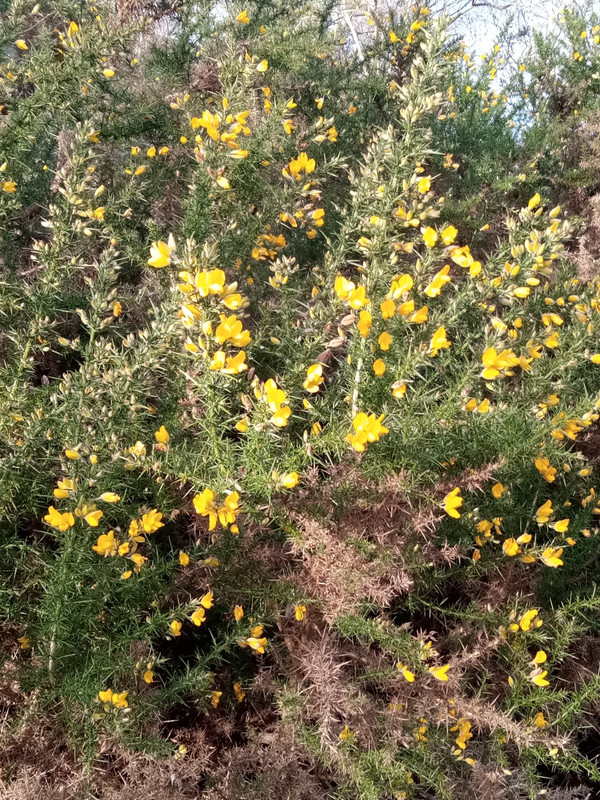 IMG 20200217 155656 — Postimages