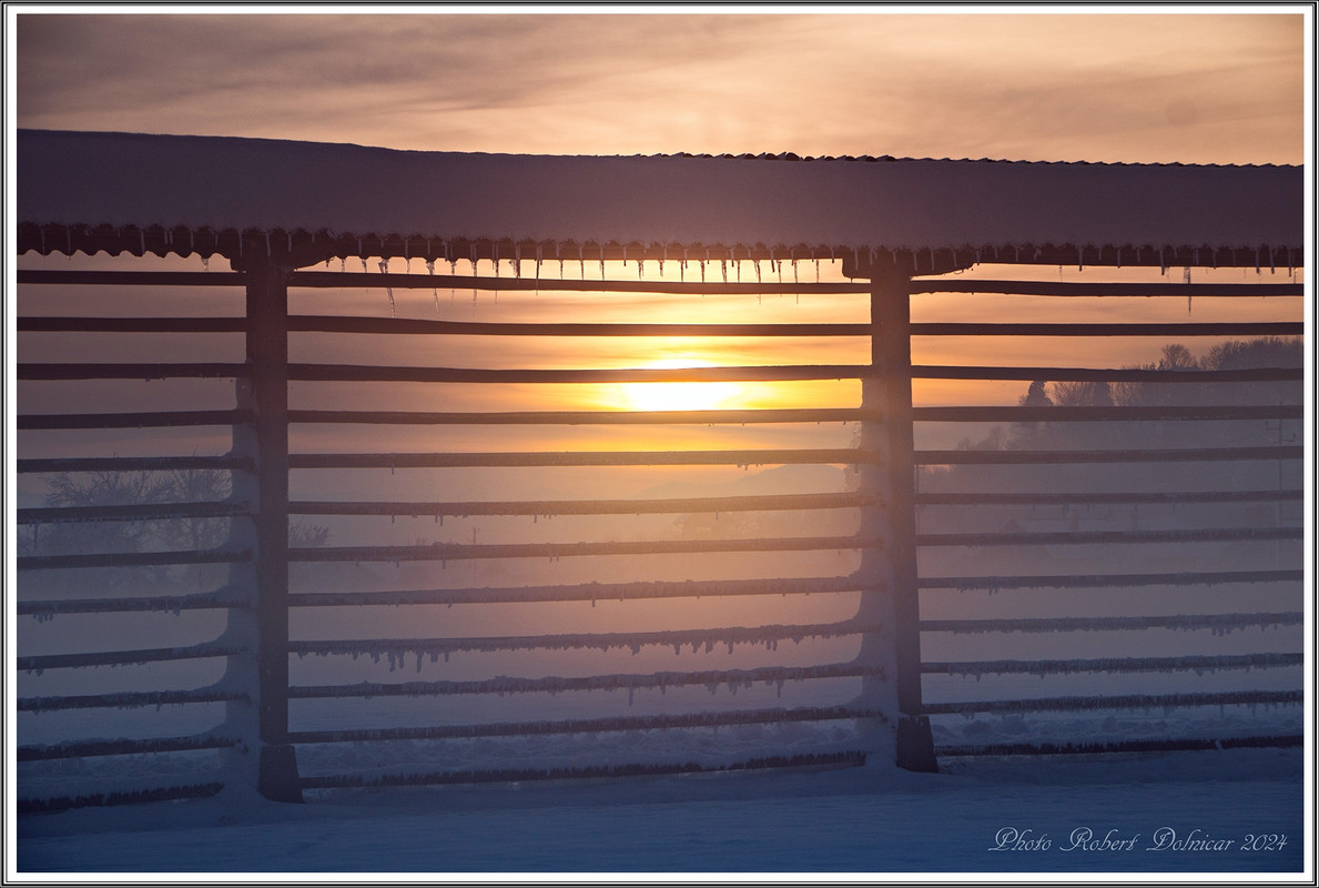 IMG 8401 — Postimages