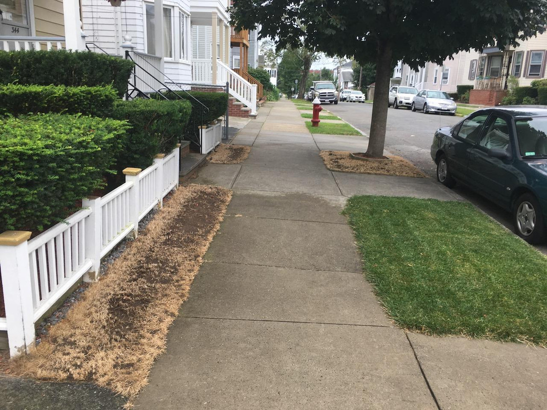 2017 Shaded Hell Strip Final Nuke 1 small — Postimages