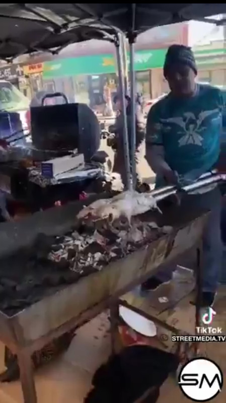 Migrants Are Grilling Giant Rats On Street Corners In Nyc O T Lounge