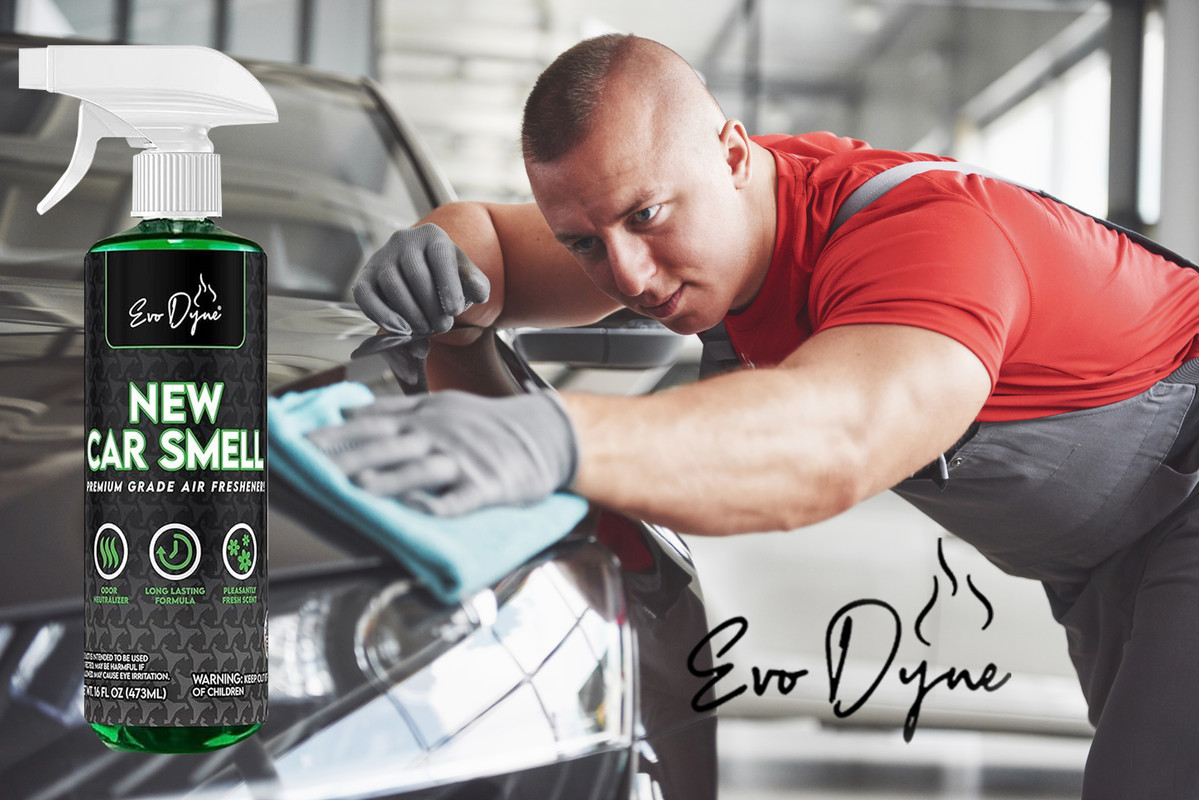 professional cleaning car wash car showroom copy — Postimages