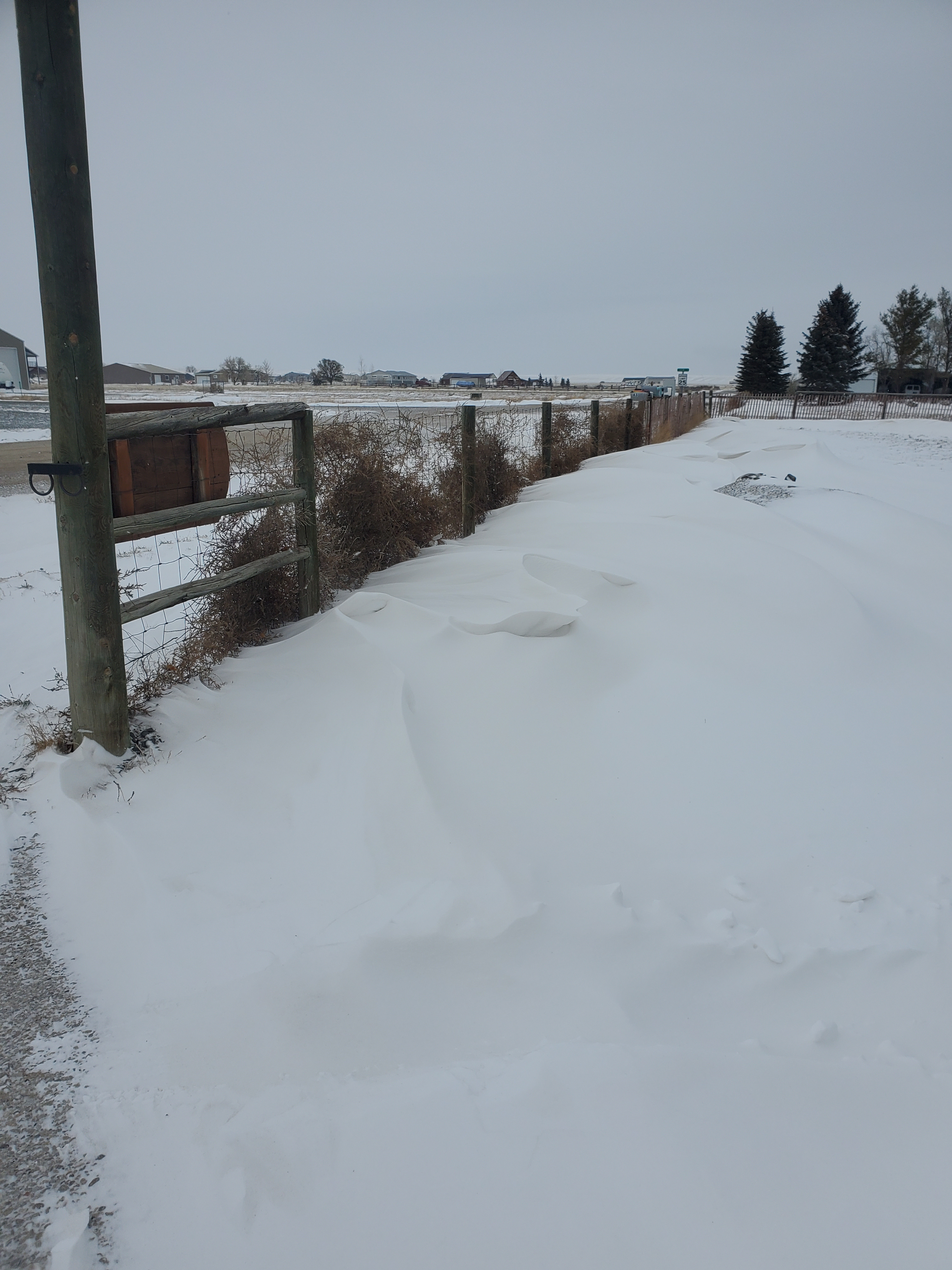 20221108 114935 — Postimages