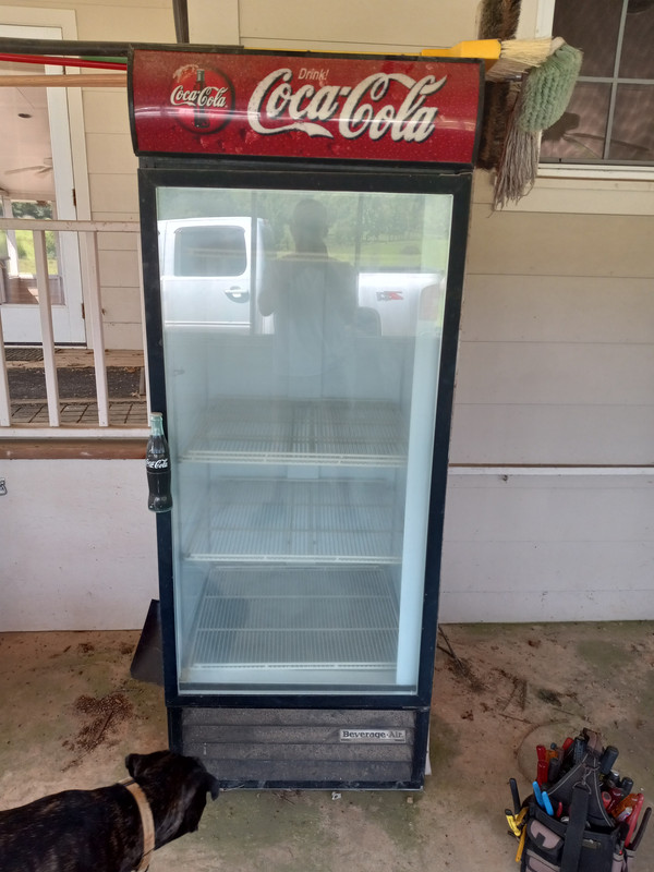 20240529 104103 — Postimages