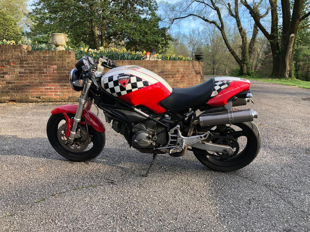 duc monster — Postimages