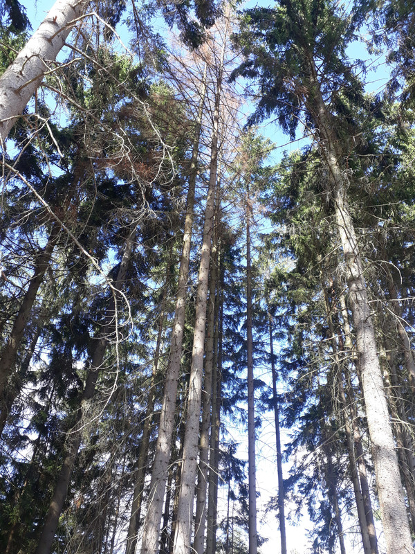 20240622 171101 — Postimages