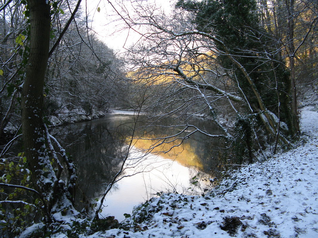 IMG 4613 — Postimages