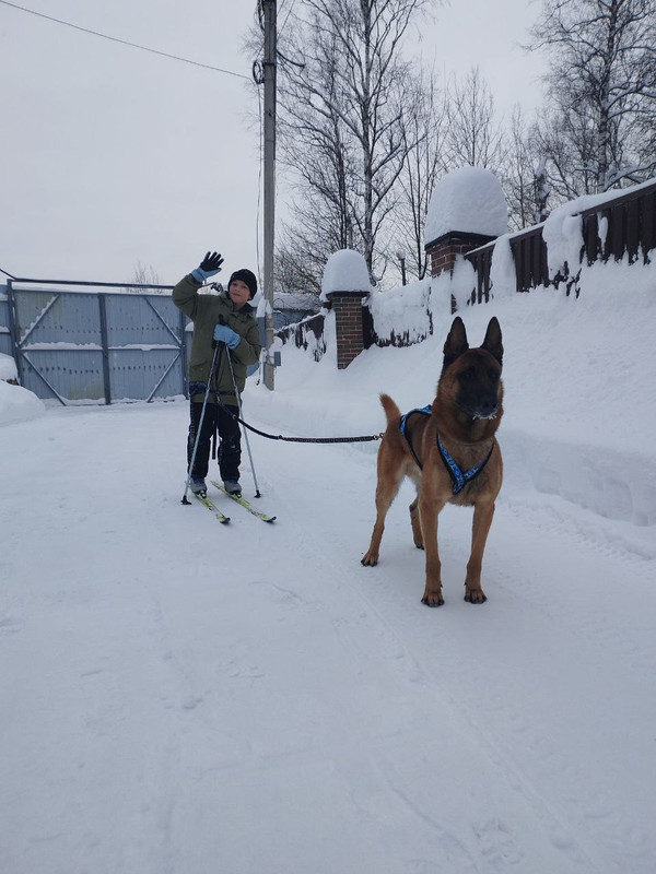 IMG 20231214 130957 431 — Postimages