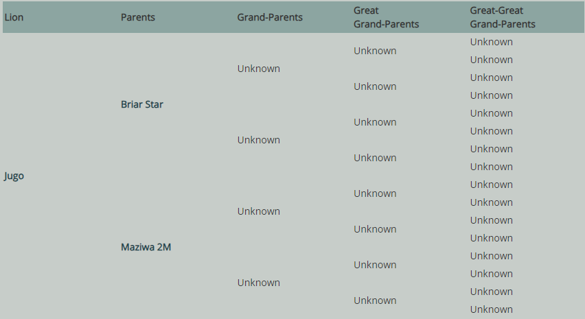 G4 Primal Smilus | 600 Stats | Clean :|: Lioden