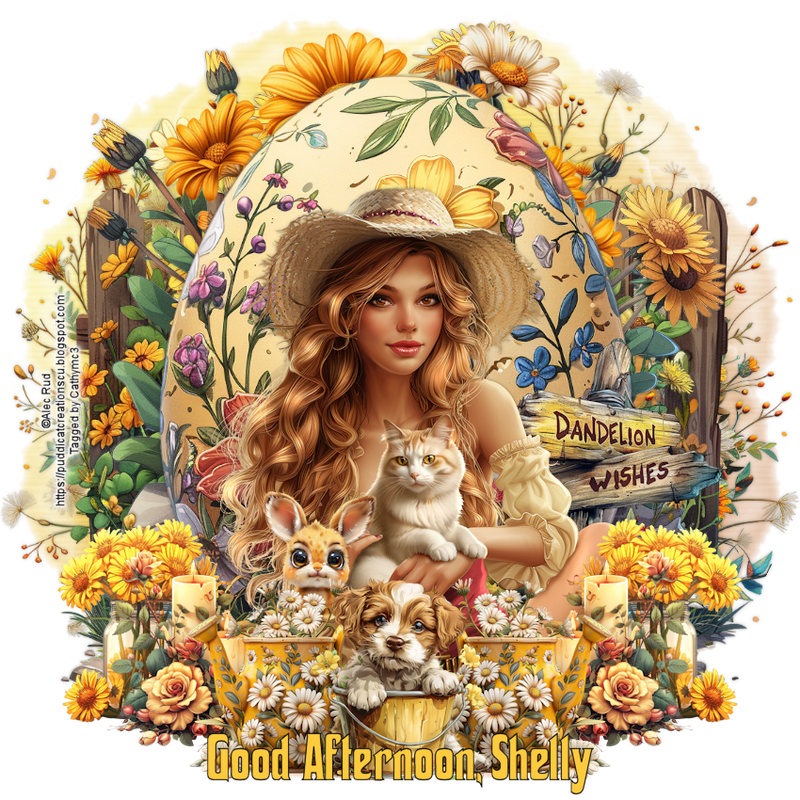 c Rudonline Good Afternoon Shelly vi — Postimages