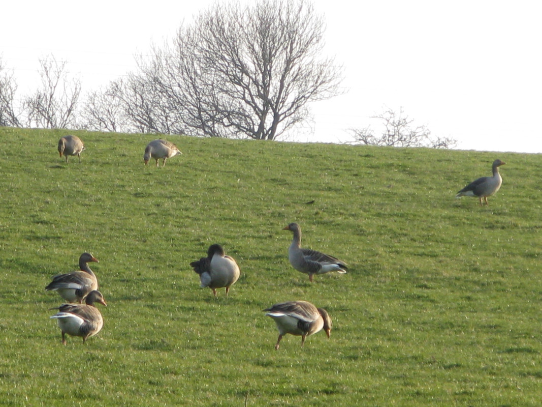 D97 ABD5 E DD2 B 427 A 9429 BB86 C800 D4 D0 — Postimages