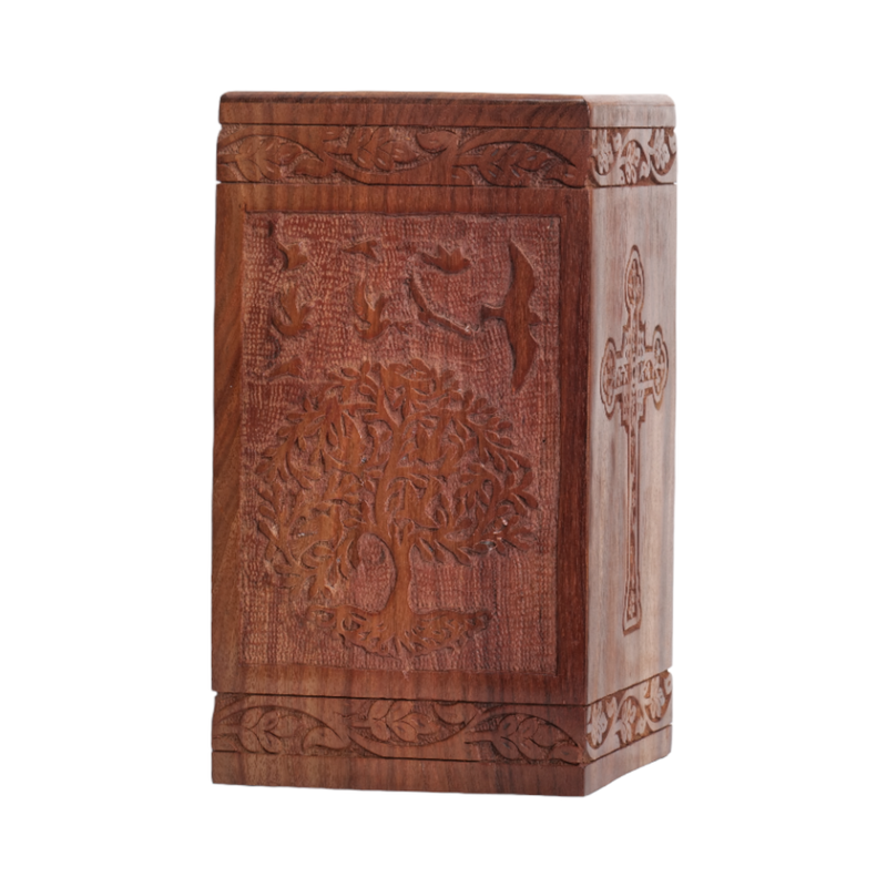 1 (1) — Postimages