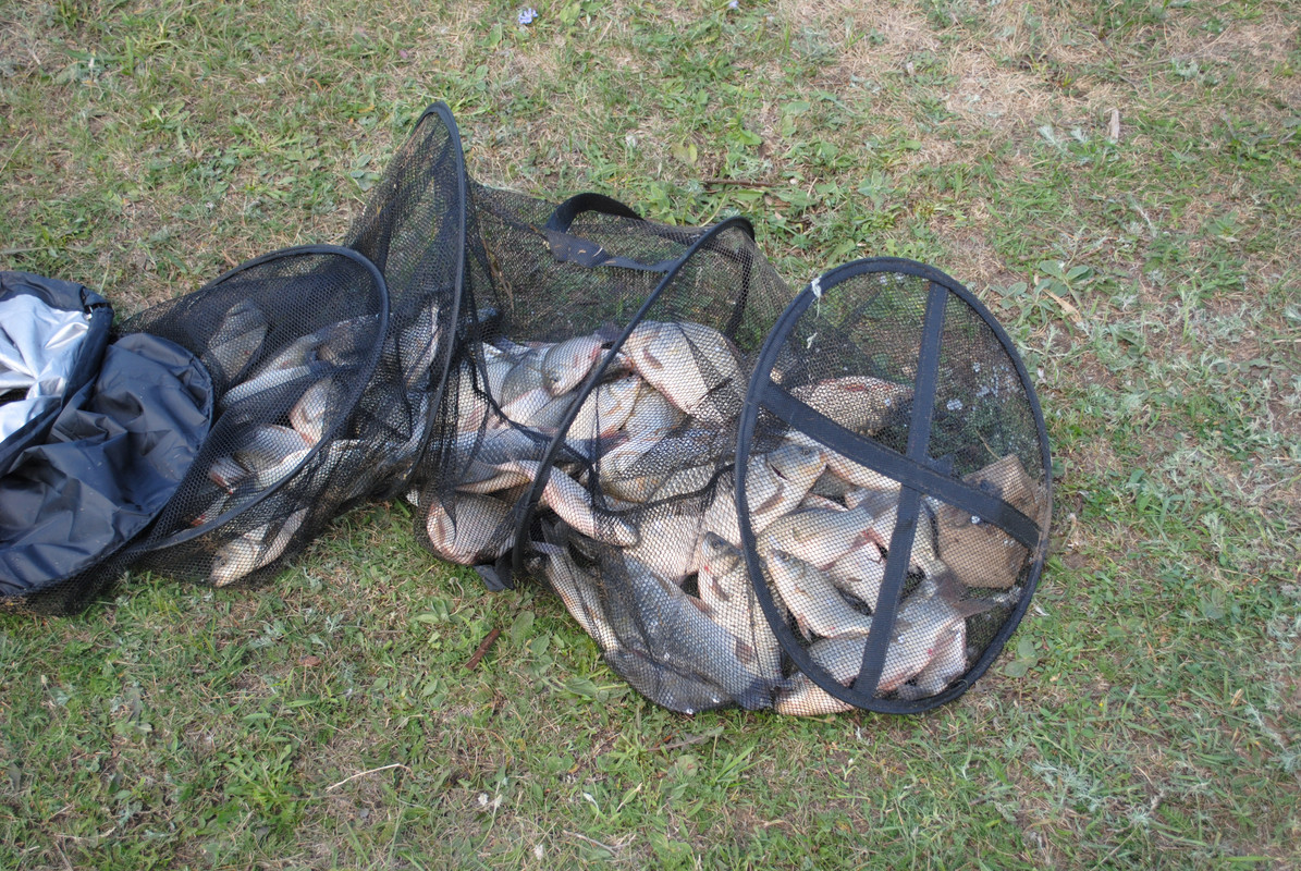 DSC 0256 — Postimages