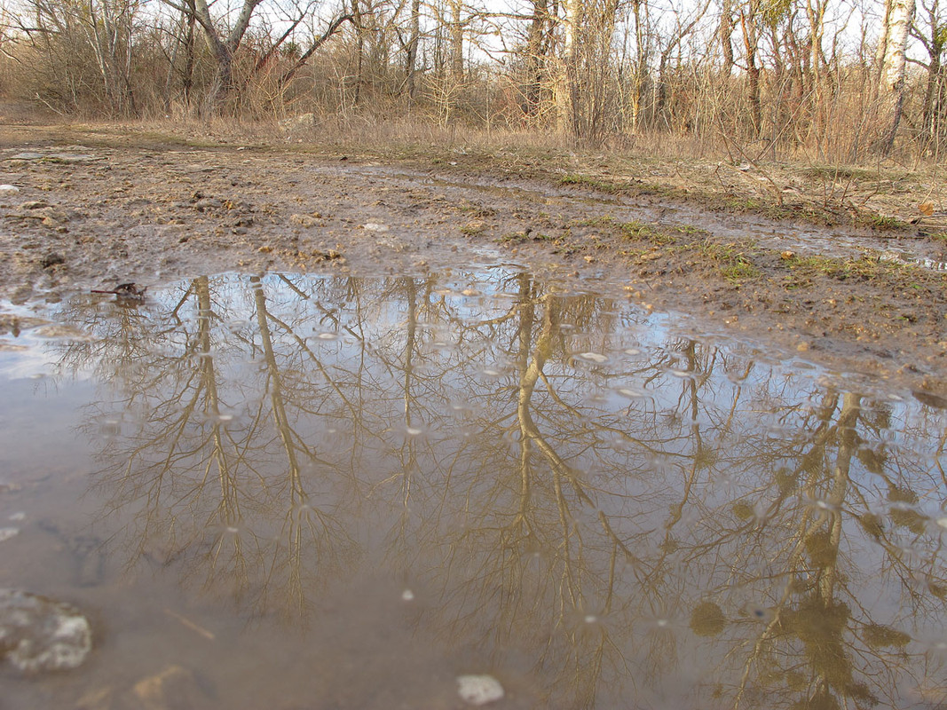 Zima 1 UIA 20180206 — Postimages