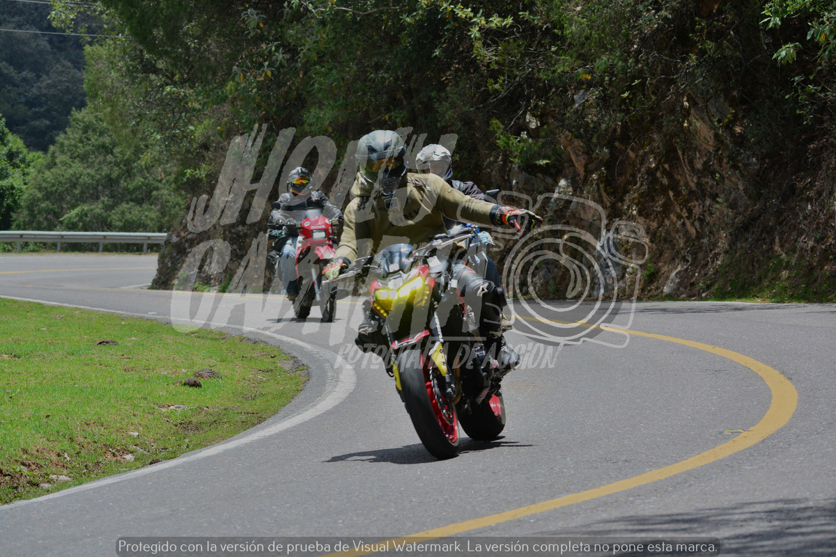 DSC 1148 — Postimages