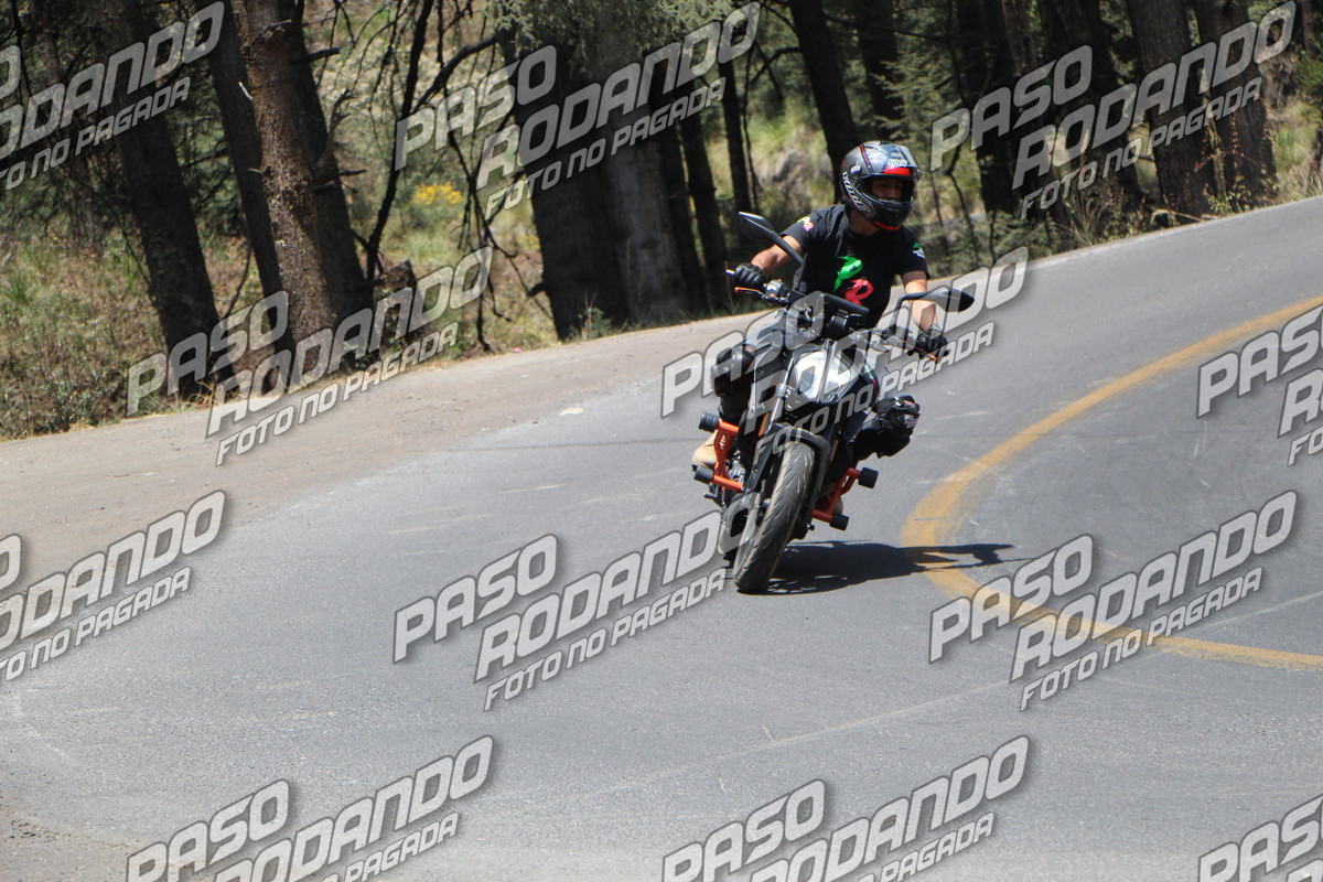 IMG 8607 wm 5770320 199999999 watermarked — Postimages